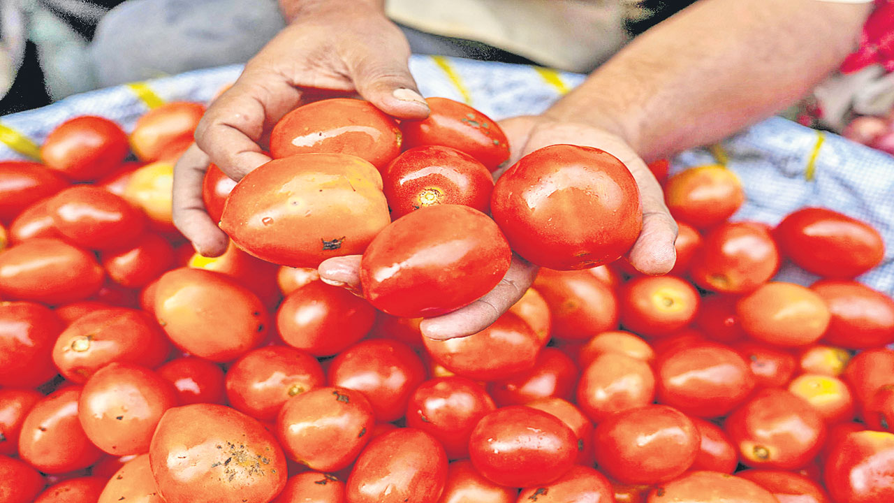 TOMATO PRICE : టమాటాః39! | Tomato Price 50-60 in the open market.
