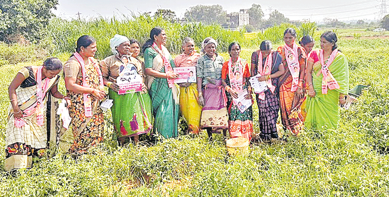 అభివృద్ధి, సంక్షేమం బీఆర్‌ఎస్‌ మార్క్‌ | Development and Welfare BRS Mark