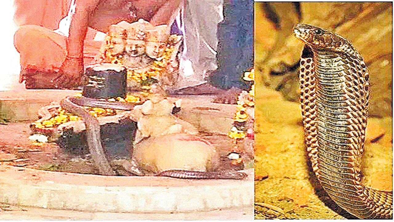 సలేమాబాద్‌ భోలేనాథ్‌ ఆలయం | Salemabad Bholenath Temple