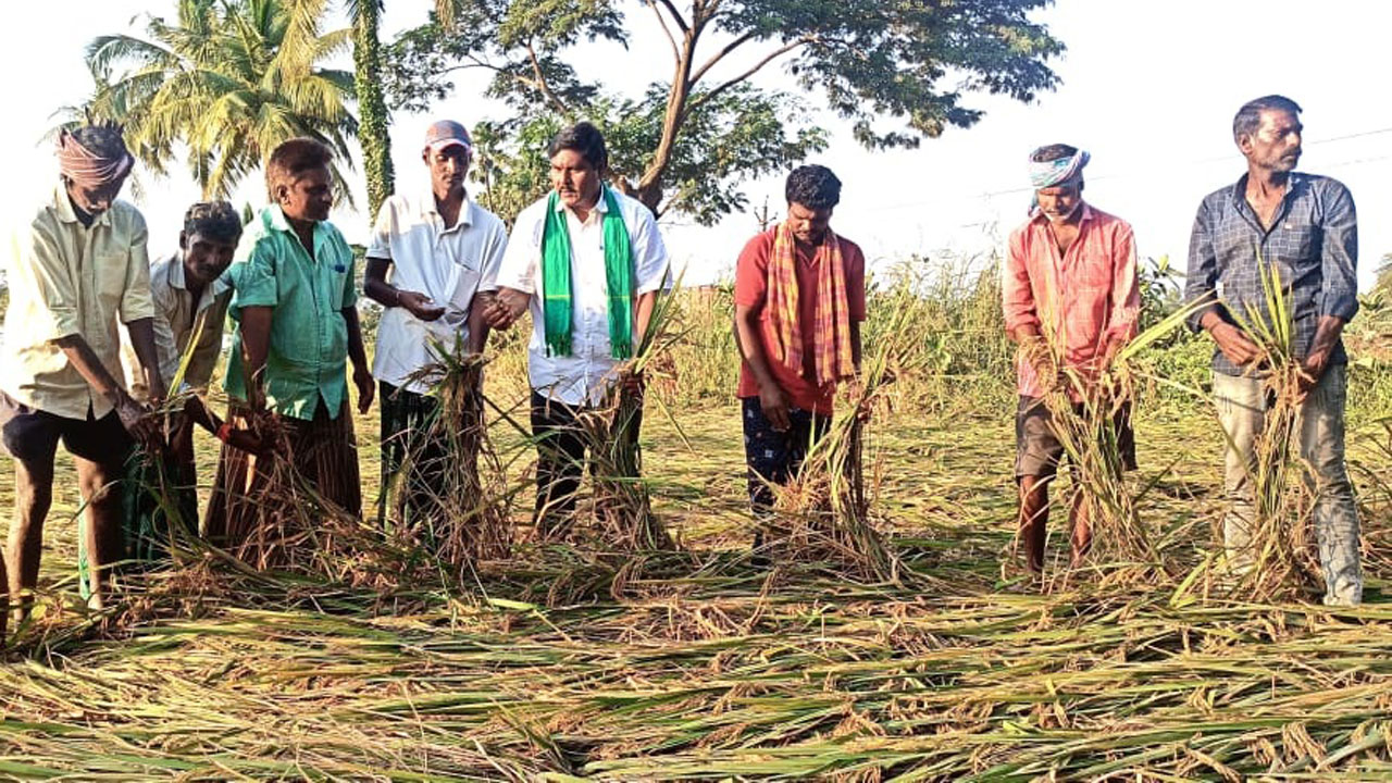 బాధిత రైతులను పట్టించుకోని ప్రభుత్వం | leaders visit cyclone effected crops