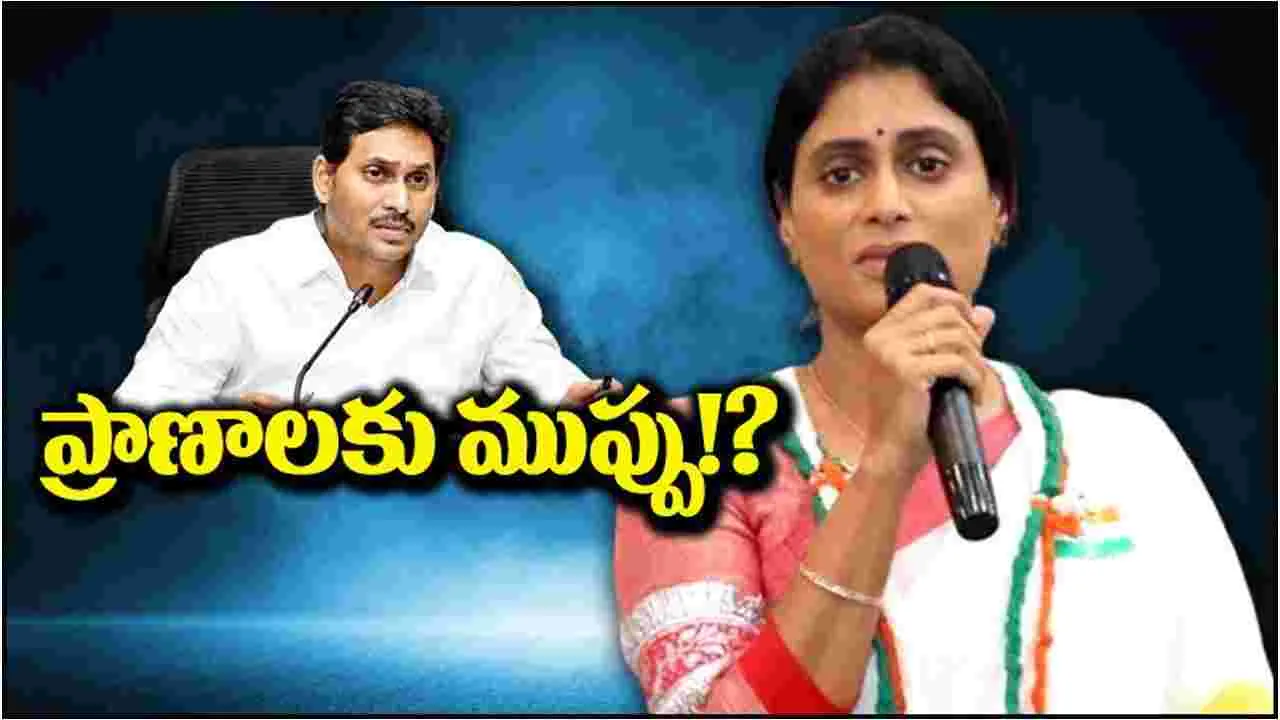 AP Politics: ‘ప్రాణాలకు ముప్పు!?’.. జగన్‌పై షర్మిల సంచలన ఆరోపణలు.. | YS Sharmila Sensational ...