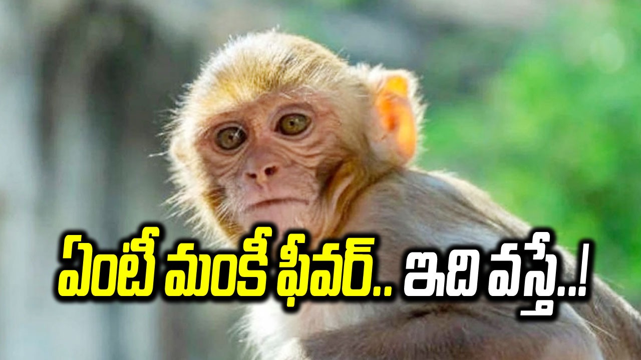 Monkey Fever: ఈ ఫీవర్ కారణాలు, లక్షణాలతో పాటు ఇది ఎందుకు వస్తుందంటే ...