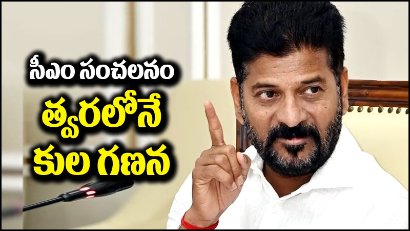 CM Revanth Reddy: త్వరలోనే రాష్ట్రంలో కుల గణన.. అధికారులకు సీఎం రేవంత్ రెడ్డి ఆదేశాలు | CM ...