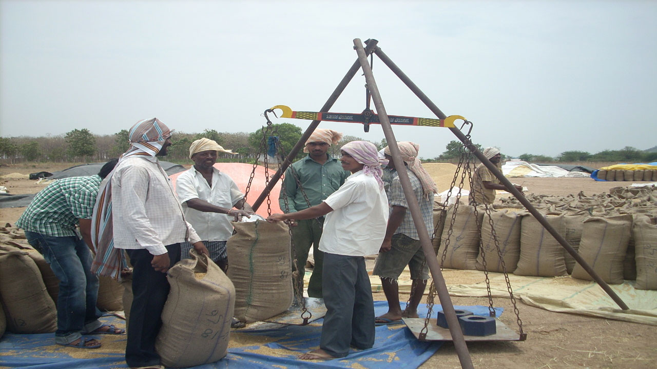 చివరిదశకు ధాన్యం కొనుగోళ్లు | Finally, grain purchases