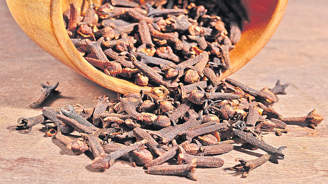 లవంగాలు తింటే? | Eating cloves?