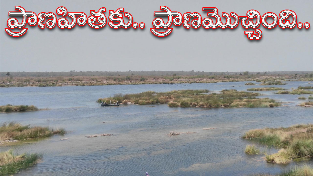 Kumaram Bheem Asifabad: ప్రాణహితకు ప్రాణమొచ్చింది.. | Kumaram Bheem ...
