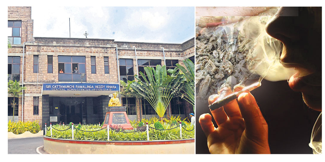 ఏయూలో గంజాయ్‌! | Ganjay in AU!