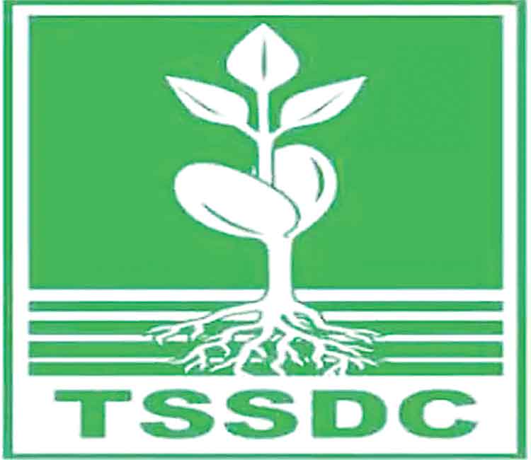 సీడ్‌ కార్పొరేషన్‌లో సిత్రాలెన్నో! | Citralenno in Seed Corporation!