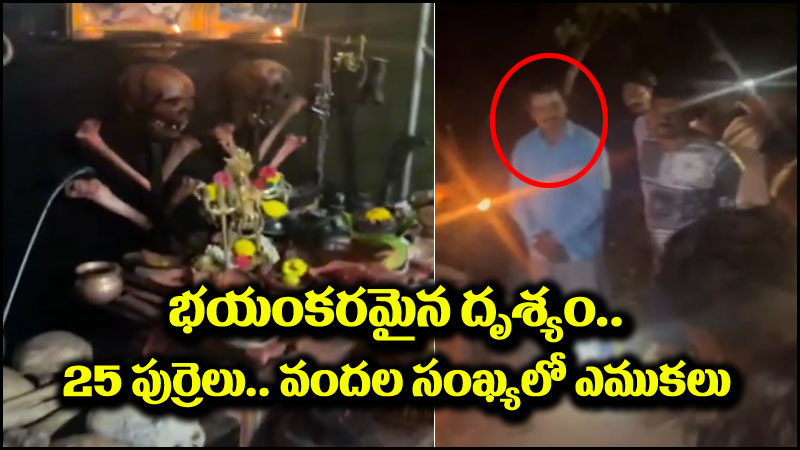 Viral News: కర్ణాటకలో ఒళ్లు గగుర్పొడిచే ఘటన.. ఫామ్‌హౌస్‌లో 25 పుర్రెలు ...