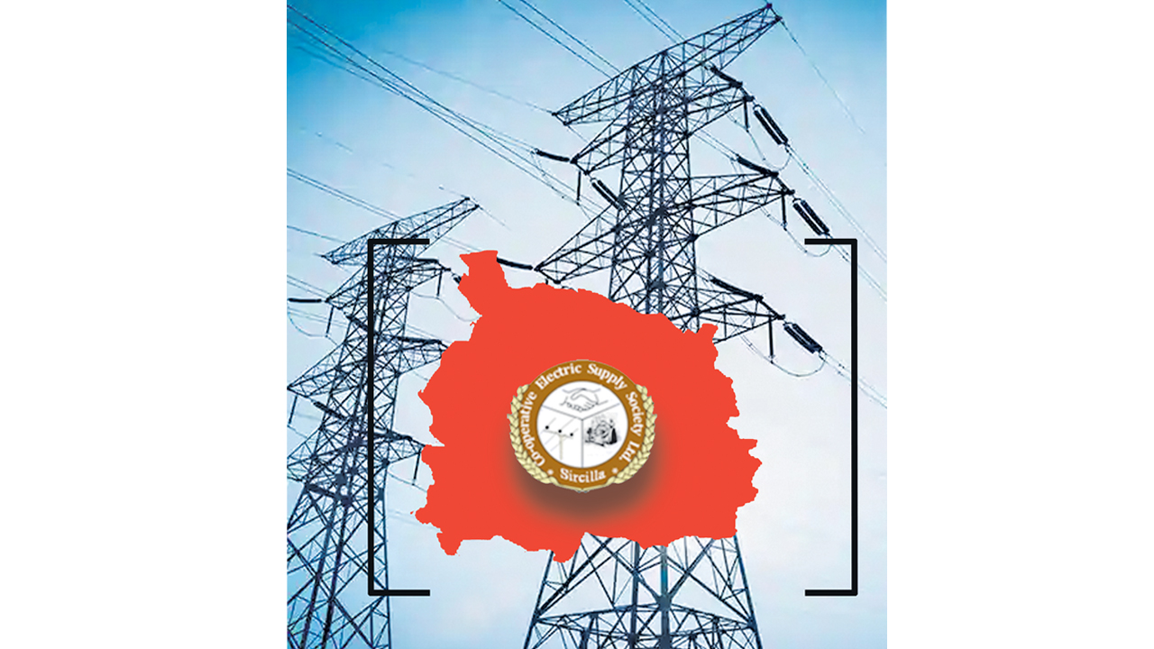 ఎన్‌పీడీసీఎల్‌లో ‘సెస్’ విలీనం: వరమా శాపమా? | Merger of 'CESS' in NPDCL ...