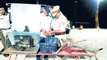 కొత్తపాలెంలో వన్య ప్రాణులు స్వాధీనం | Wild animals seized in Kothapalem