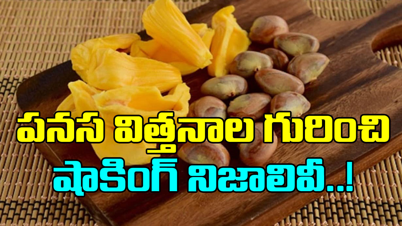 Jackfruit Seeds: పనస విత్తనాల గురించి ఈ నిజాలు తెలుసా? వీటిని తింటే ఏం ...