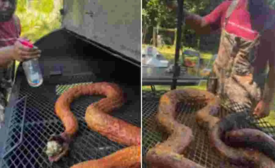 Viral: ఇలాంటోళ్ల మధ్యనా మనం బతుకుతున్నది!? భారీ కొండచిలువను మంటపై ...