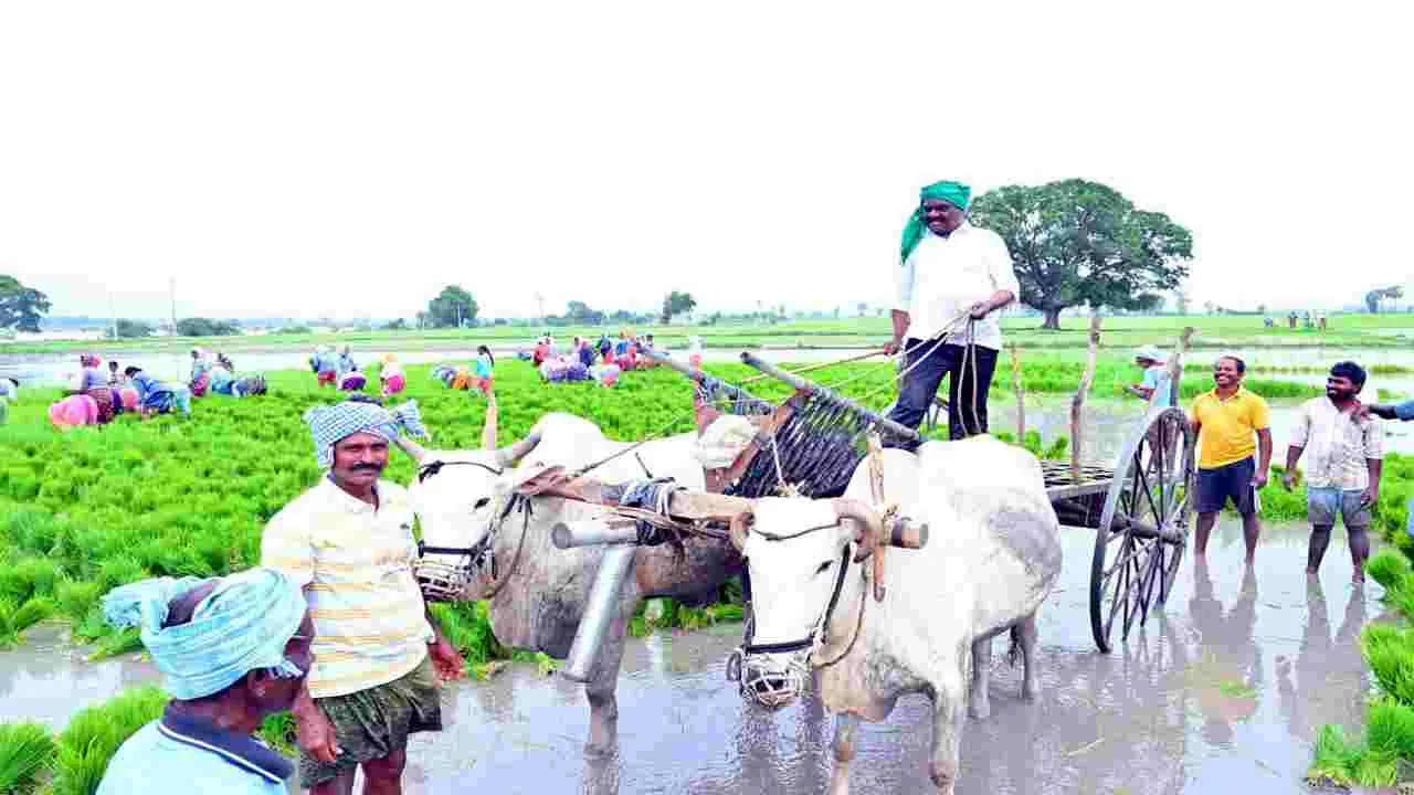 Rainfall: అన్నదాతల్లో వర్షాతిరేకం! | Farmers Facing Challenges Due to ... Rainfall: అన్నదాతల్లో వర్షాతిరేకం! | Farmers Facing Challenges Due to ...