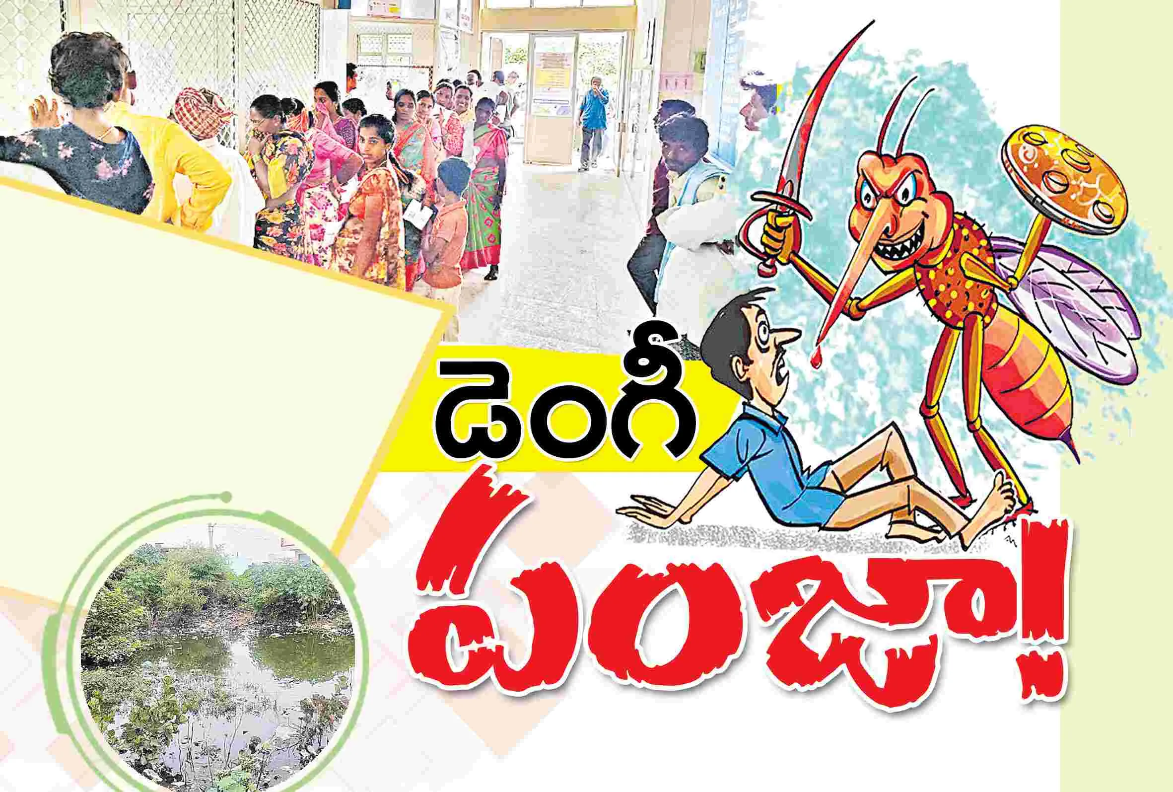 డెంగీ పంజా! | Dengue Claw!