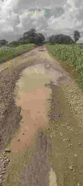 అధ్వానంగా..బర్రంకుల-నాలి రహదారి | Worse..Barrankula-Nali road