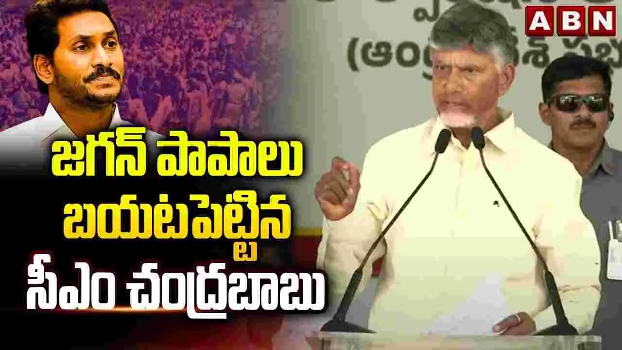 జగన్ పాపాలు బయటపెట్టిన సీఎం | CM Chandrababu Reveals Shocking Facts Of Jagan anr