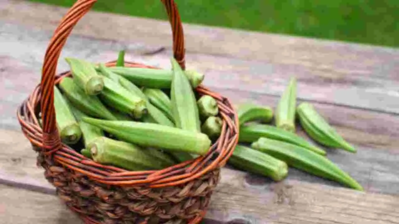 Lady Finger: బెండకాయలో జిగురు పోవాలంటే.. ఈ చిట్కాలు పాటించండి ...