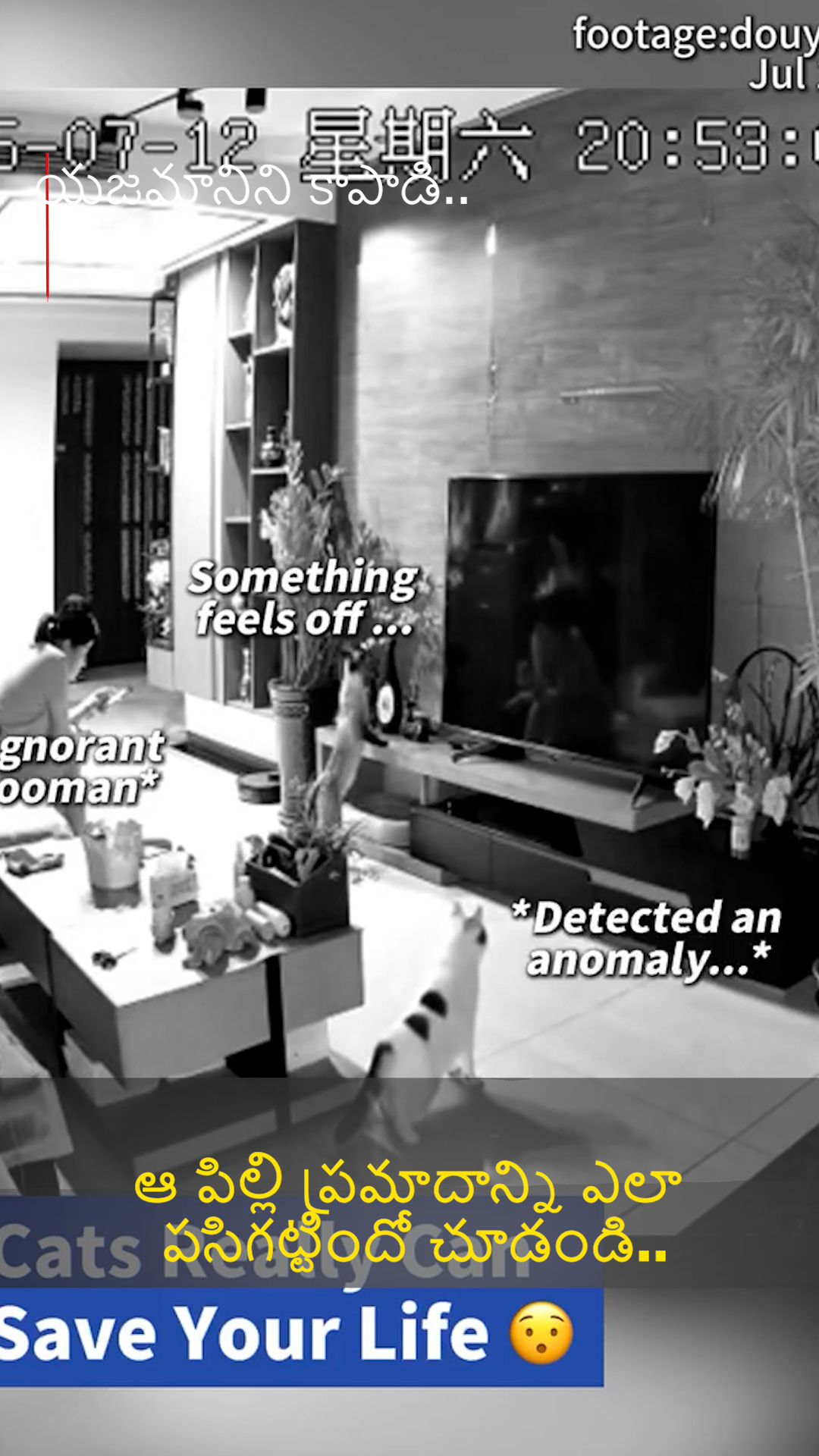 ఆ పిల్లి ప్రమాదాన్ని ఎలా పసిగట్టిందో చూడండి..