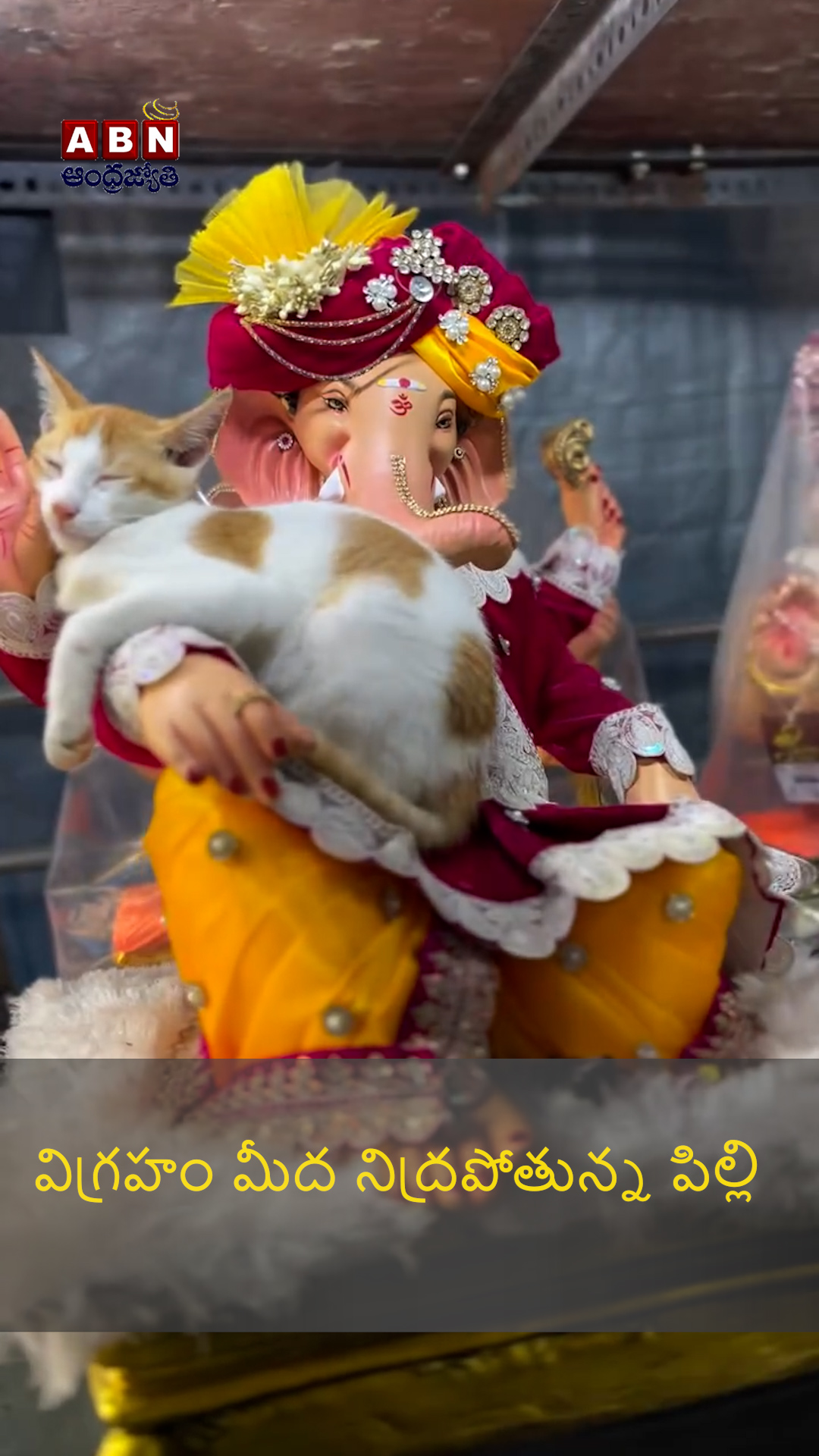 విగ్రహం మీద నిద్రపోతున్న పిల్లి