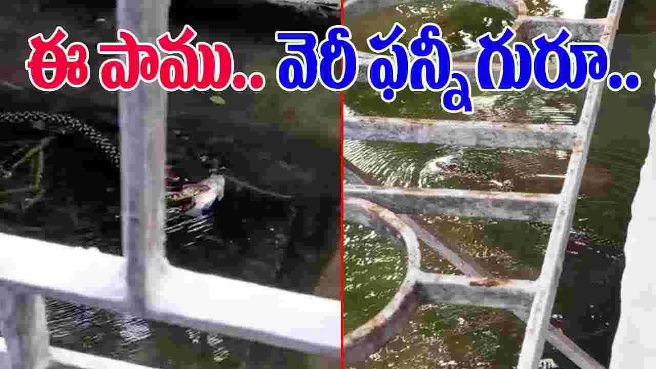 Snake Swimming With Fish: ఈ పాము మరీ విచిత్రంగా ఉందే.. చేపను పట్టుకుని ...