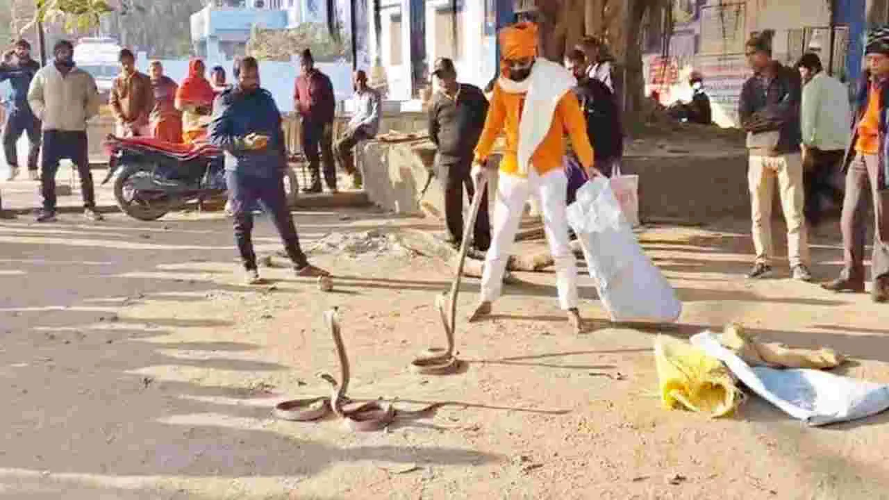 Bihar snake bite: మూడు పాములతో హాస్పిటల్‌కు.. అసలేం జరిగిందో తెలిస్తే ...