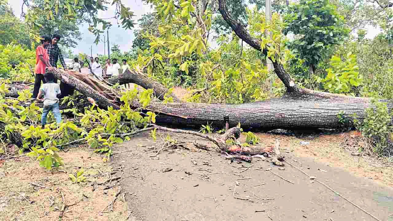 ఈదురు గాలులతో భారీ వర్షం | Heavy rain accompanied by gusty winds.