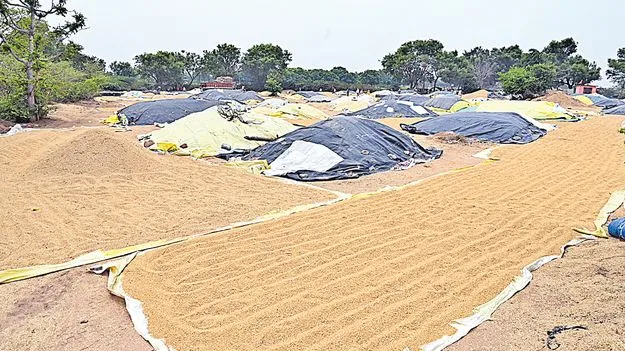 కొనుగోళ్లలో కోటి సమస్యలు! | Farmers Face Huge Problems in Telangana ...