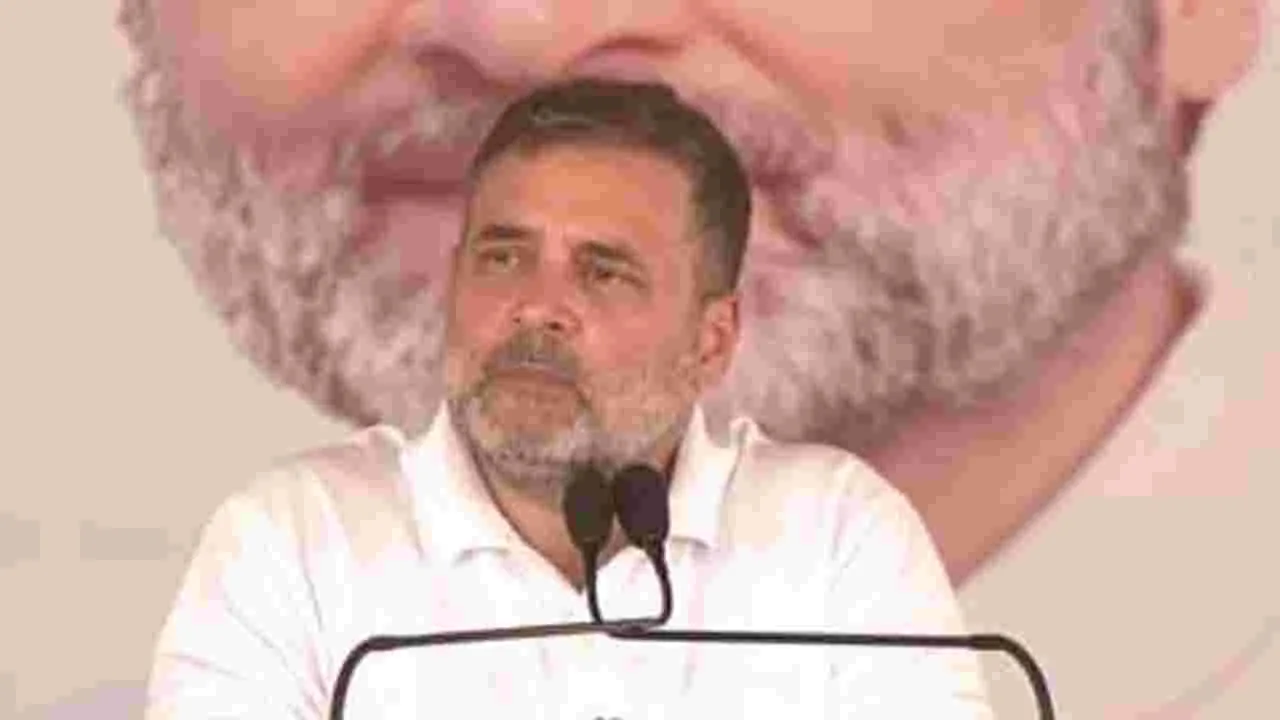 తమిళనాట కాంగ్రెస్‌కు జాక్‌పాట్‌! | Rahul Gandhi warning emergency india ...
