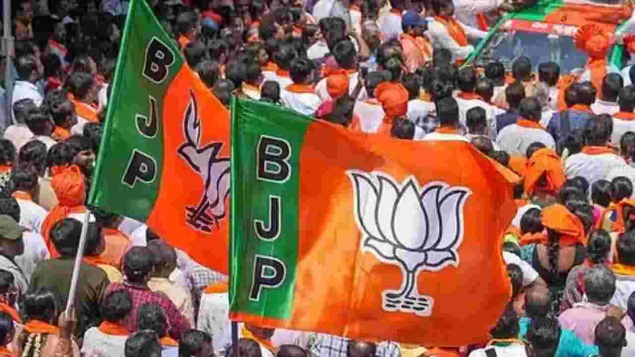 హిమాచల్‌ ప్రదేశ్ మున్సిపల్ ఎన్నికల్లో బీజేపీ హవా | BJP sweeps in ...