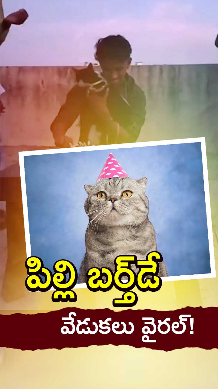 పిల్లి బర్త్ డే గ్రాండ్ పార్టీ... నెట్టింట వైరల్!