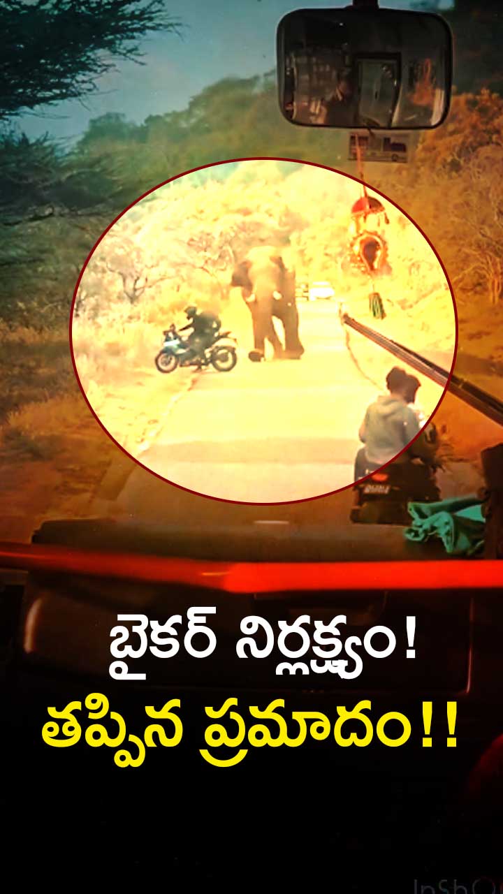 ఏనుగు దాడి నుంచి తృటిలో తప్పించుకున్న బైకర్!