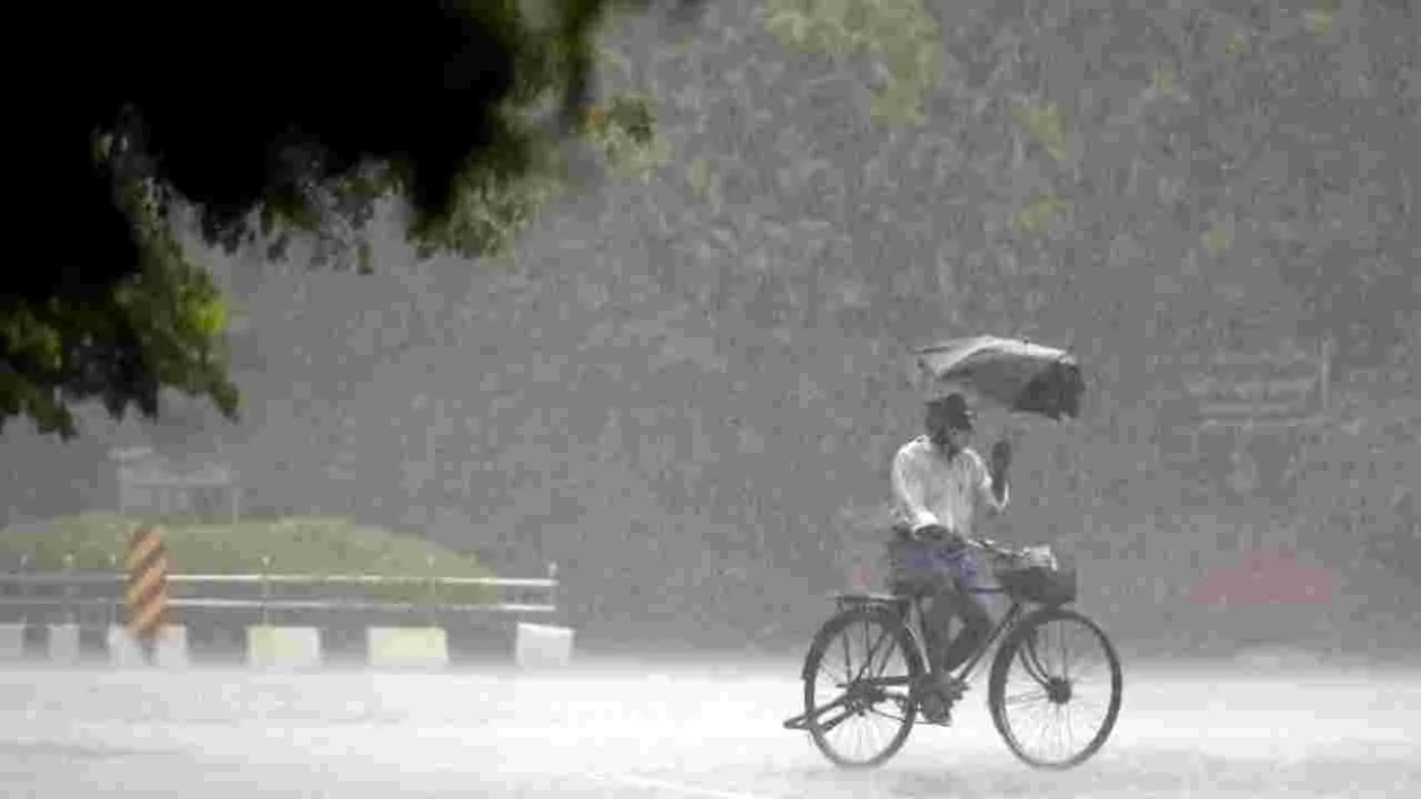 48 గంటల్లో అల్పపీడనం 4 రోజులు వర్షాలు | AP Coastal and Rayalaseema ...