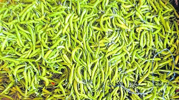 పచ్చిమిర్చిపై సిండికేట్‌ మచ్చ | Green Chilli Prices Soar in Warangal as ...